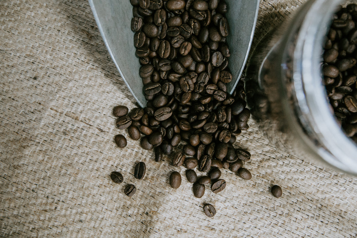 Medium Roast | Forbidden Flavours Roastery