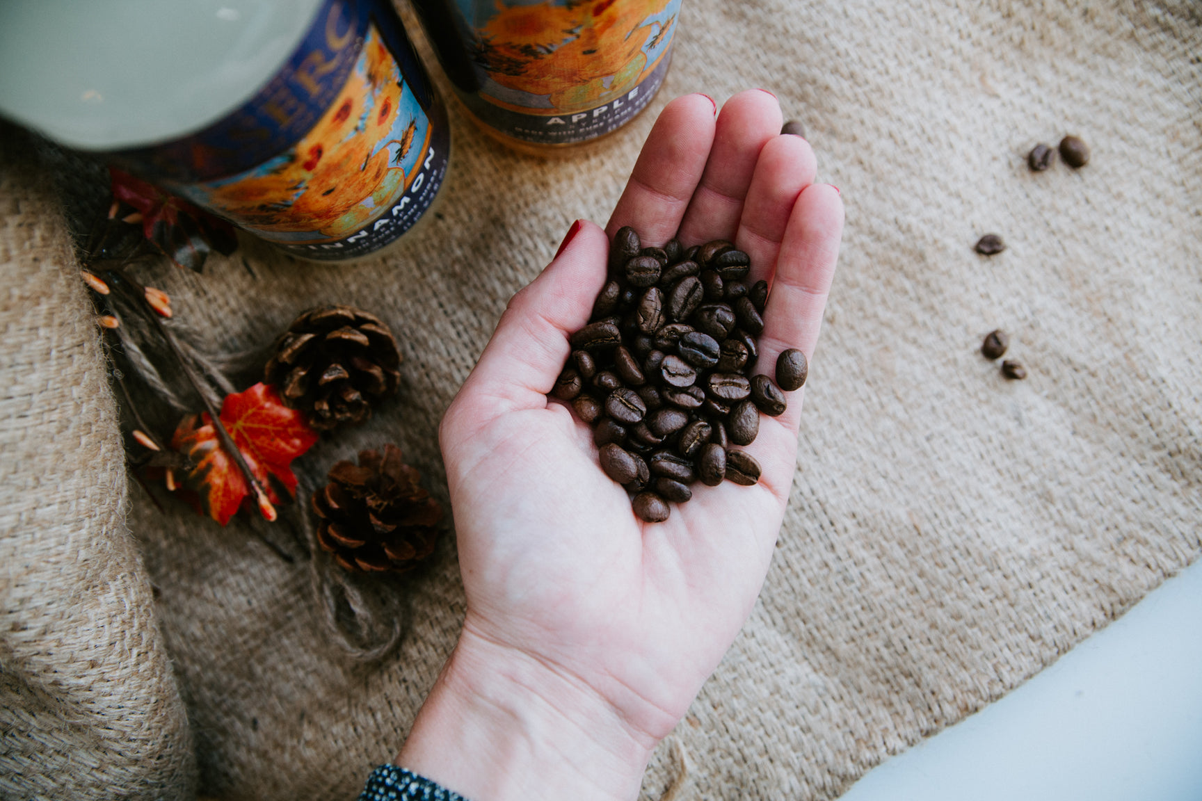 Collections | Forbidden Flavours Roastery