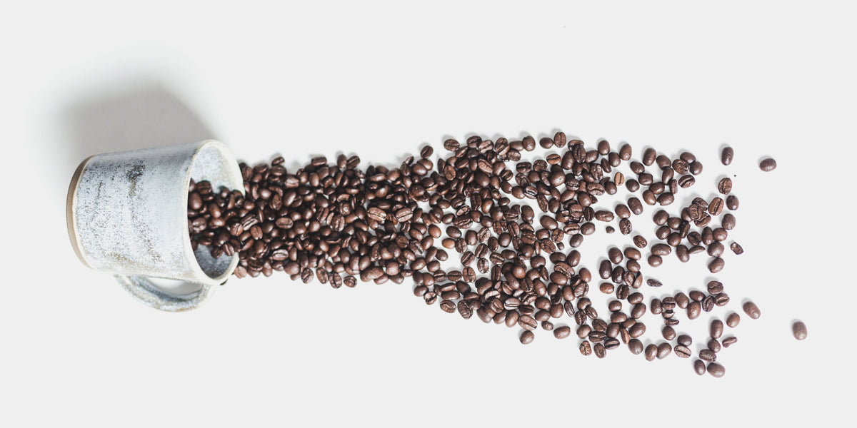 Seasonal Coffee | Forbidden Flavours Roastery