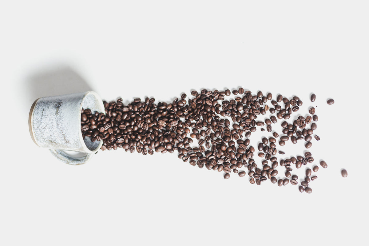 Seasonal Coffee | Forbidden Flavours Roastery