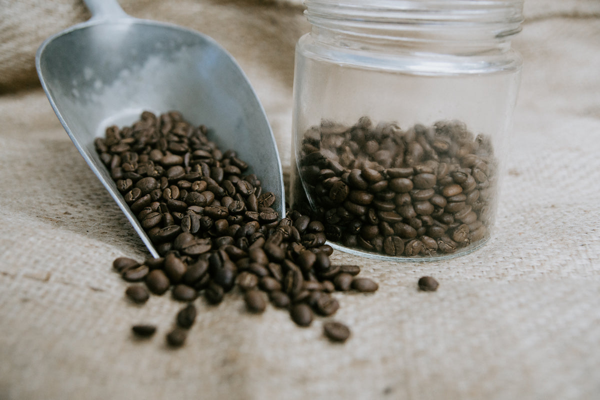Medium Roast | Forbidden Flavours Roastery